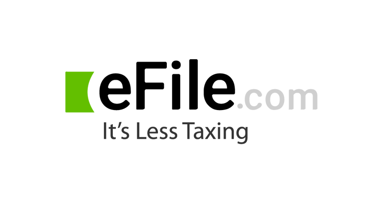 Self Income Tax Preparation Platform.